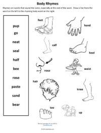 Words That Rhyme with Parts of the Body - The Critical Years