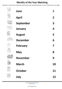 Months of the Year Matching Worksheet - The Critical Years