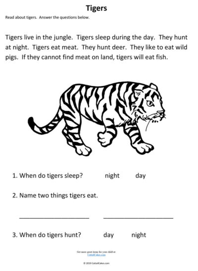 Reading Comprehension - Tigers - The Critical Years