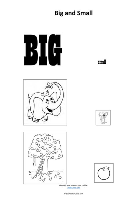 Comparing Big and Small - The Critical Years