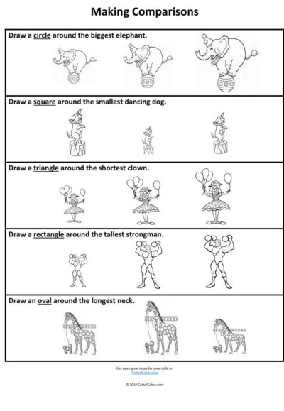Size Comparisons - The Critical Years