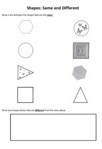 Shapes That Are the Same and Different - The Critical Years