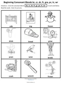 Beginning Consonant Blends - br, cr, dr, fr, gra, pr, tr, wr - The ...