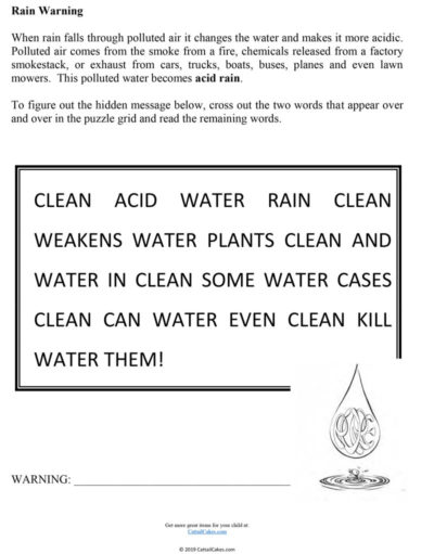 Acid Rain - The Critical Years