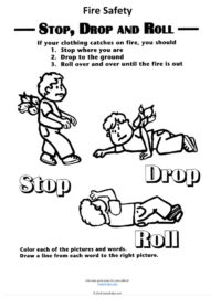 Fire Safety - The Critical Years