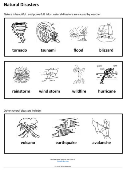 Natural Disasters - The Critical Years