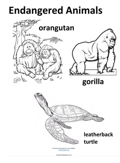 Endangered Animals - The Critical Years