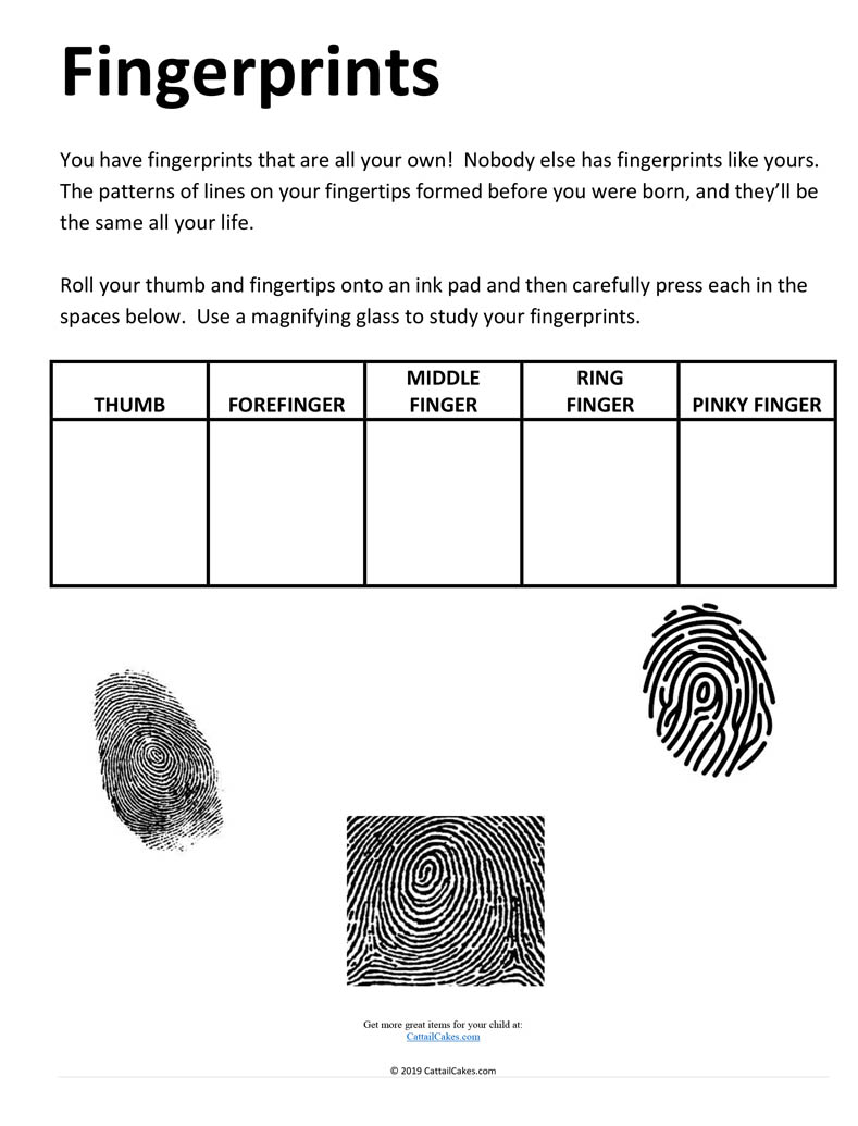 Fingerprints - The Critical Years