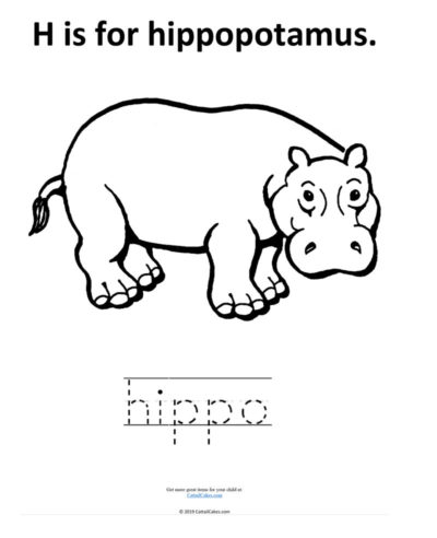 H is for Hippo - The Critical Years
